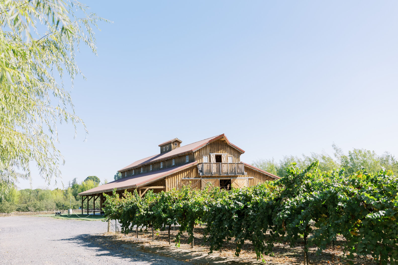 Richard's Ranch Wedding | B+M - shannonbmontgomery.com