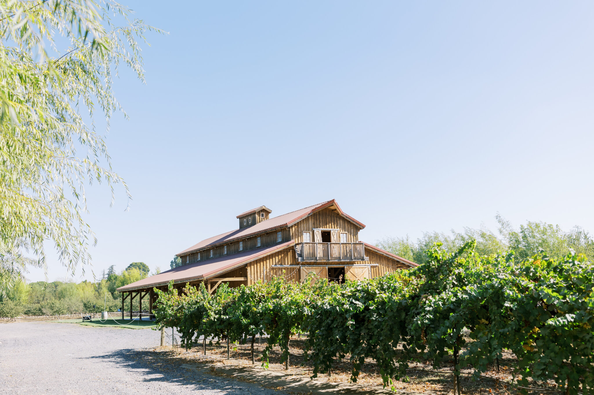 Richard's Ranch Wedding | B+M - shannonbmontgomery.com